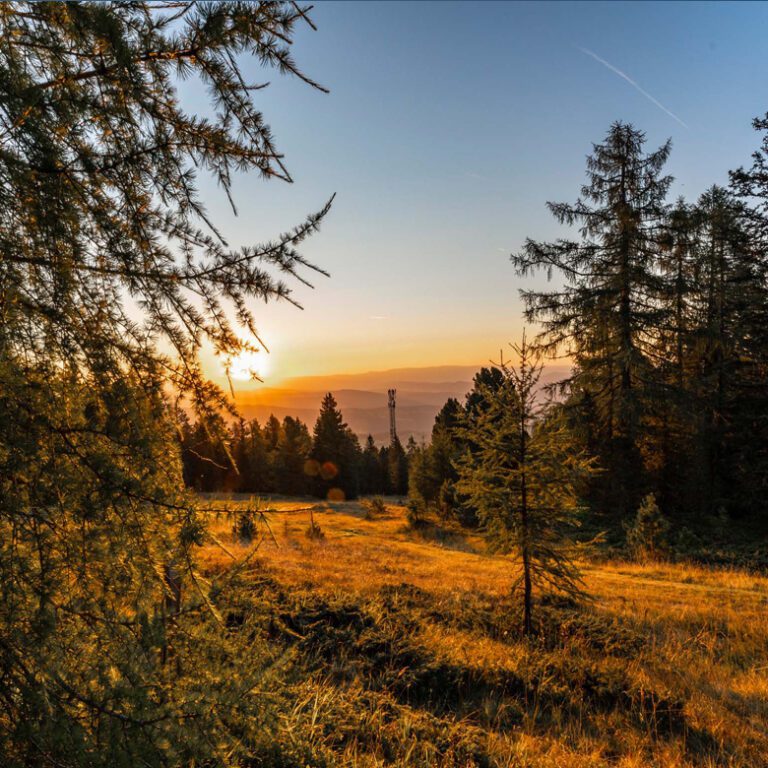 Wandern – Hochrindl